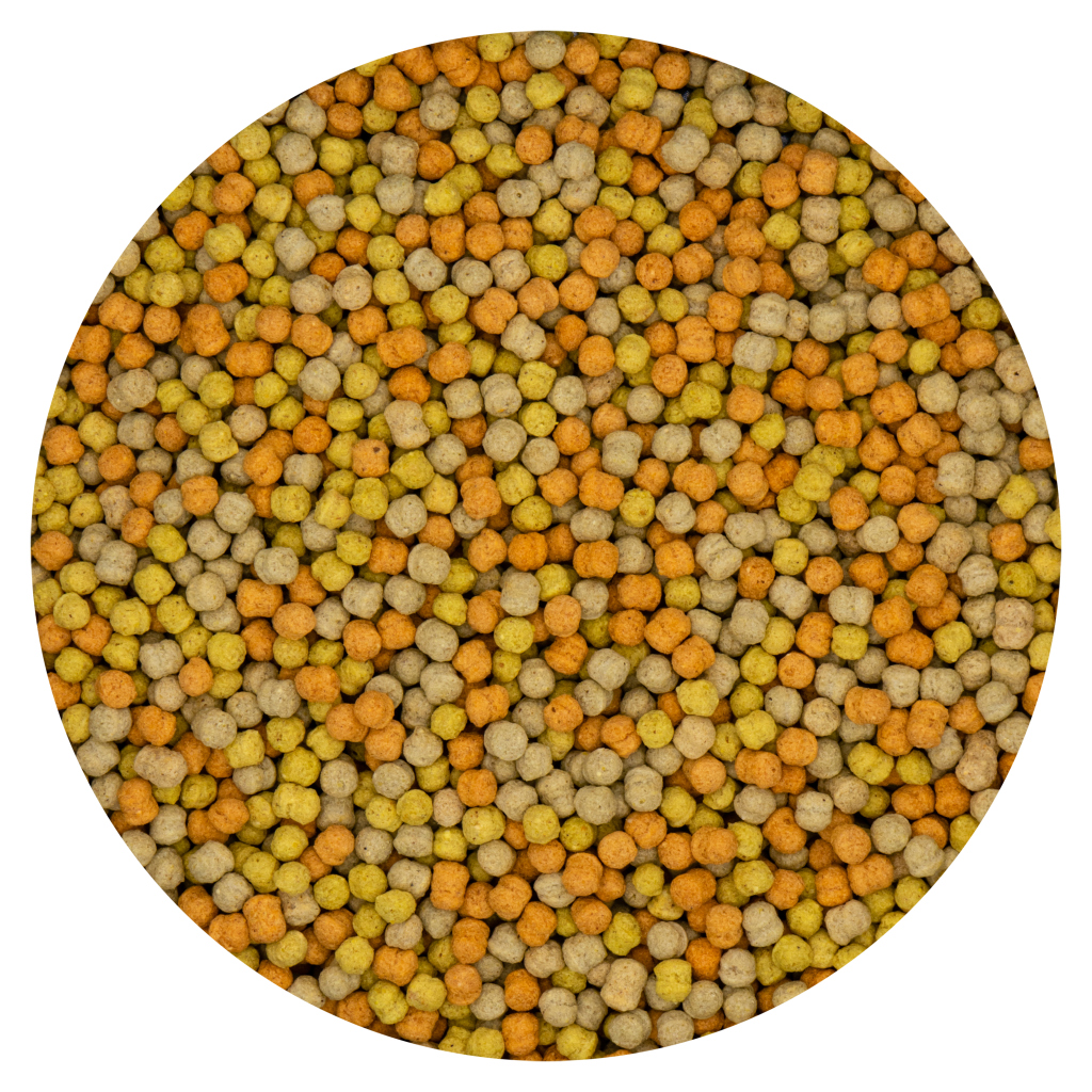 AviMax Forte Pellets Lori FruitBlend 10kg